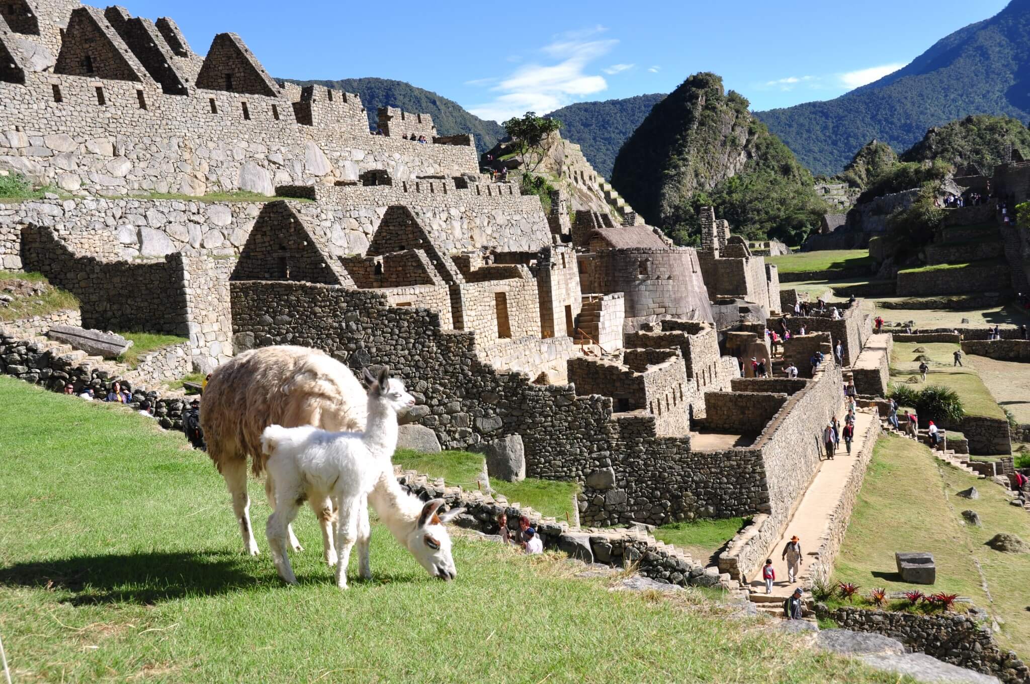 Cómo llegar a Machu Picchu y visitar las ruinas incas Cómo llegar a Machu Picchu y visitar las ruinas incas