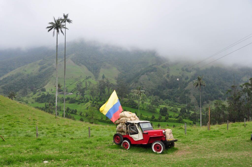Valle de Cocora, el bosque de las palmeras gigantes