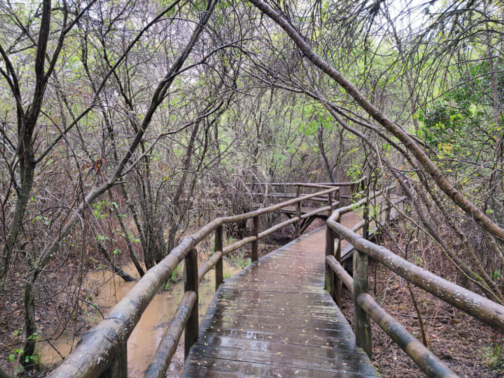 El Robledo, turismo rural en Ciudad Real